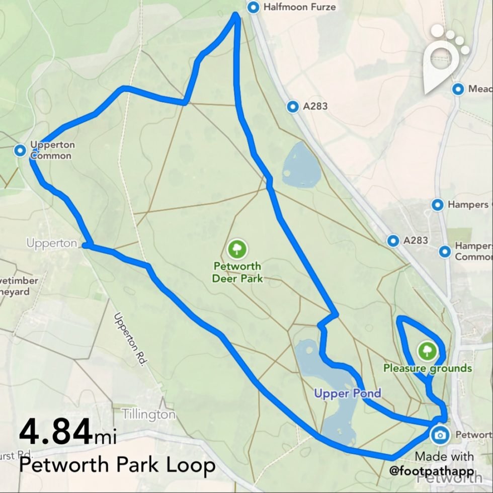 Petworth Park | Wicked Walks